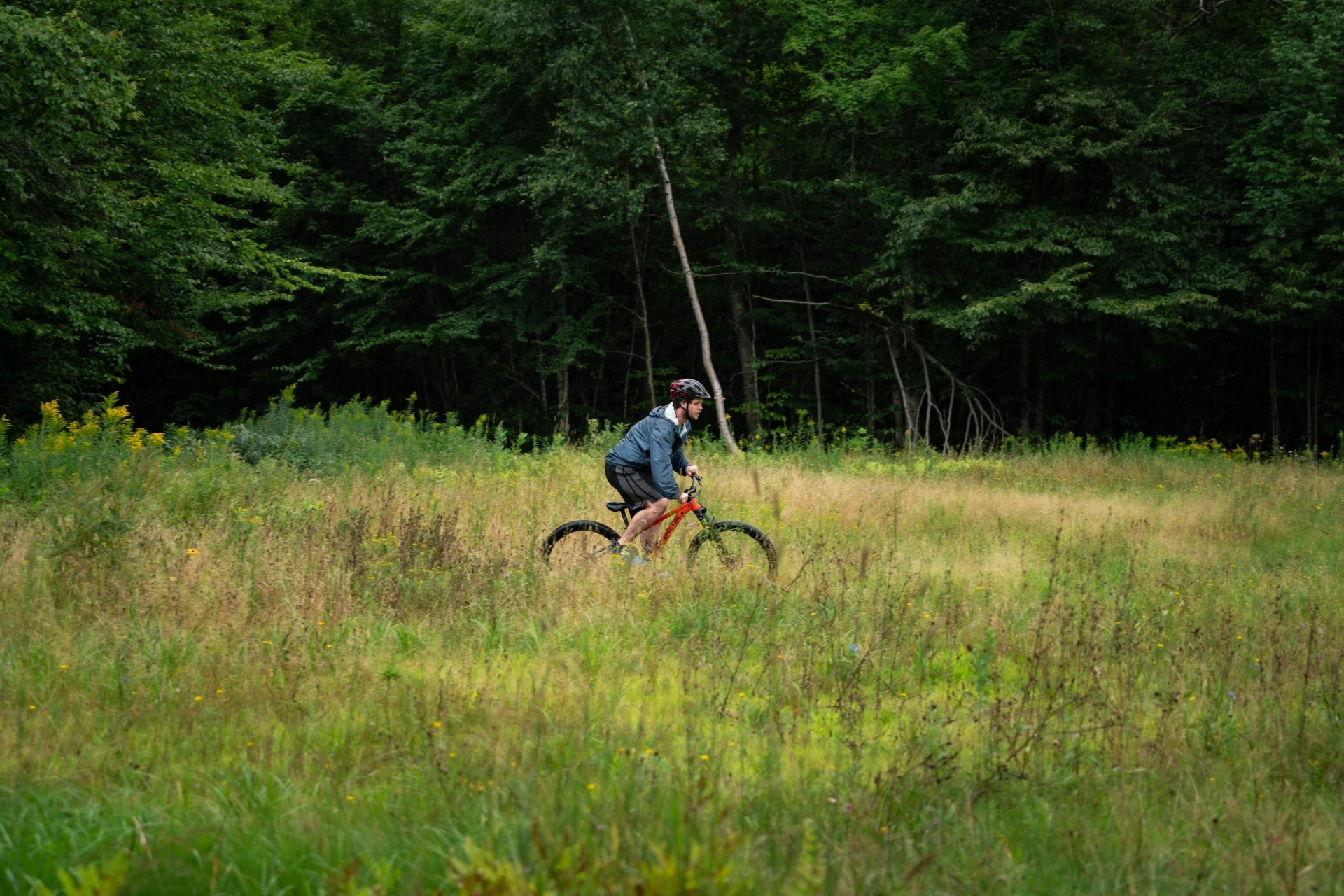 circonflexe - prêt-pour-bouger | C'est quoi circonflexe? - circonflexe ...